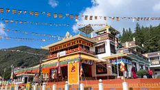 Bomdila Travel Guide - What to do in Bomdila, Arunachal Pradesh